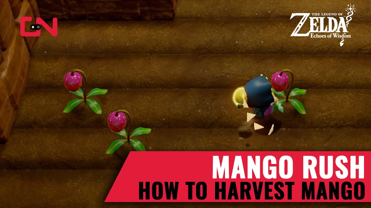 Mango Rush and How to Harvest Mangos in Zelda Echoes of Wisdom - YouTube