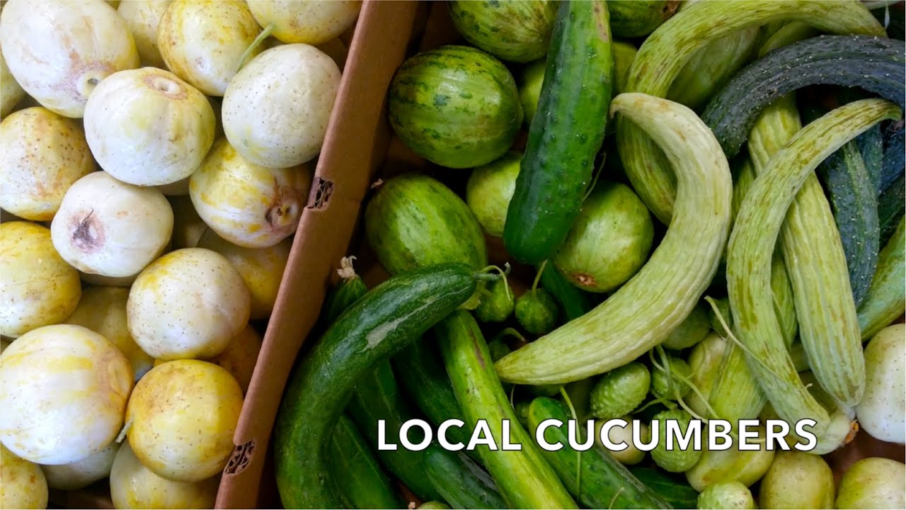 Produce Beat: Local Cucumbers - YouTube