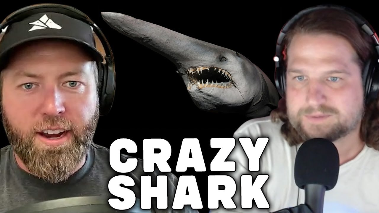 Massive Alien Shark Brought Up From The Deep Sea - YouTube