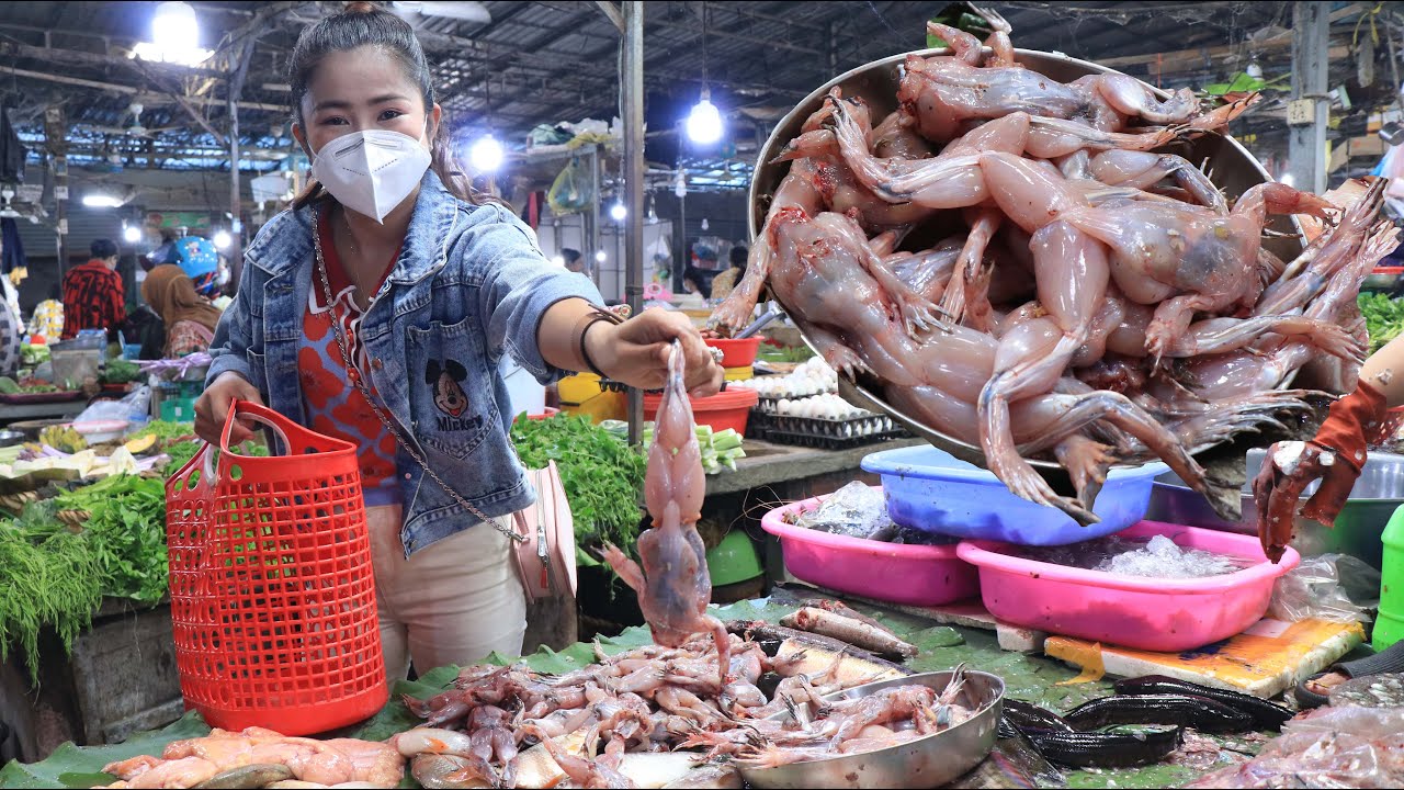 Market show, Buy field frog to make braised frog eat with rice porridge ...