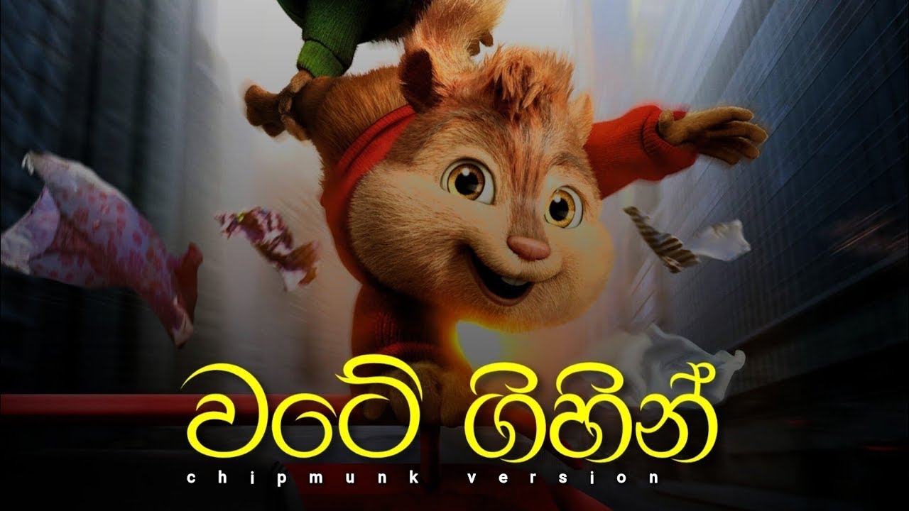 වටේ ගිහින් (watey gihin) | chipmunk version | new sinhala song | funky dirt | vibehub - YouTube