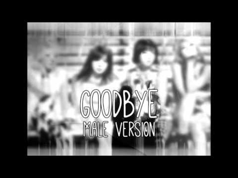 2NE1 - GOODBYE [Male Version]