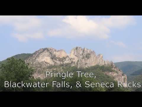 Pringle Tree, Blackwater Falls & Seneca Rocks West Virginia Road Trip ...