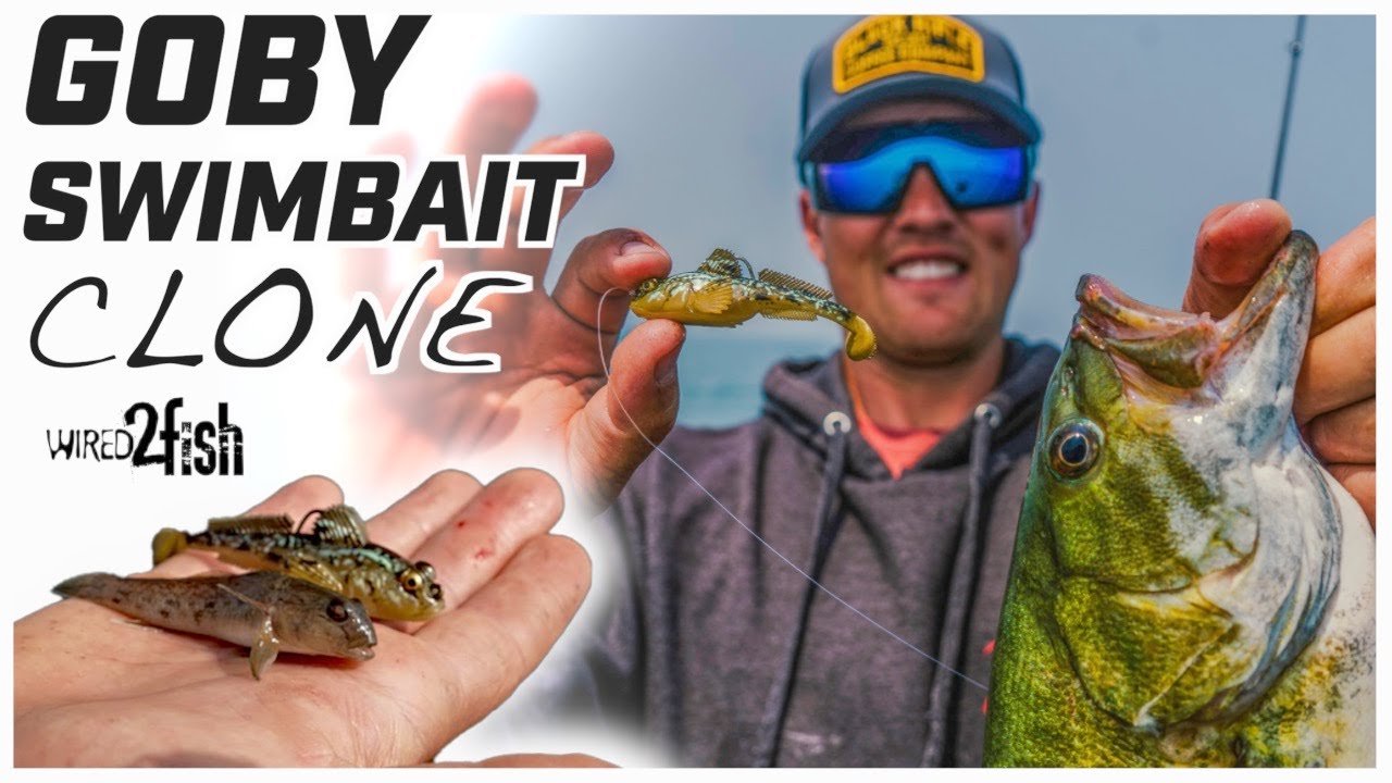 How to Fish Goby Swimbaits for Smallmouth Bass - YouTube