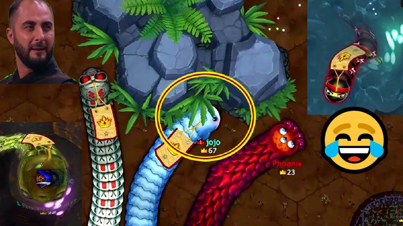 🐞Ⓛittle Ⓑig Ⓢnake👀Rebel snakes + funny moments😂Мятежные змеи + смешные ...