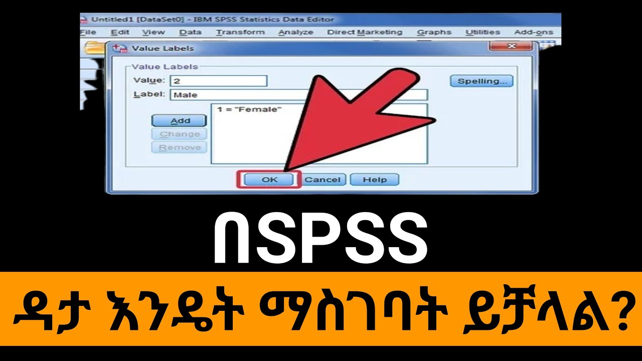 SPSS ላይ ዳታ እንዴት ማስገባት ይቻላል? /How to insert data in SPSS? - YouTube
