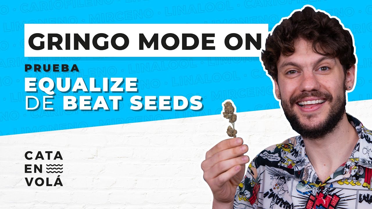 GRINGO MODE ON ATERRIZA EN CATA EN VOLÁ – En Volá