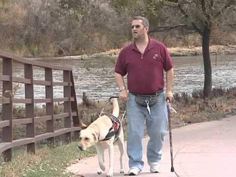 Freedom Service Dogs: Spotlight Operation Freedom - YouTube