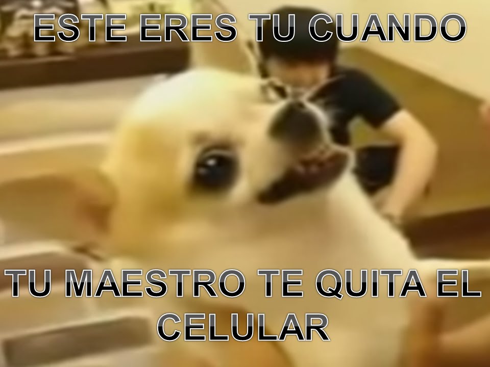 como hacer un meme (imagen con texto) - YouTube