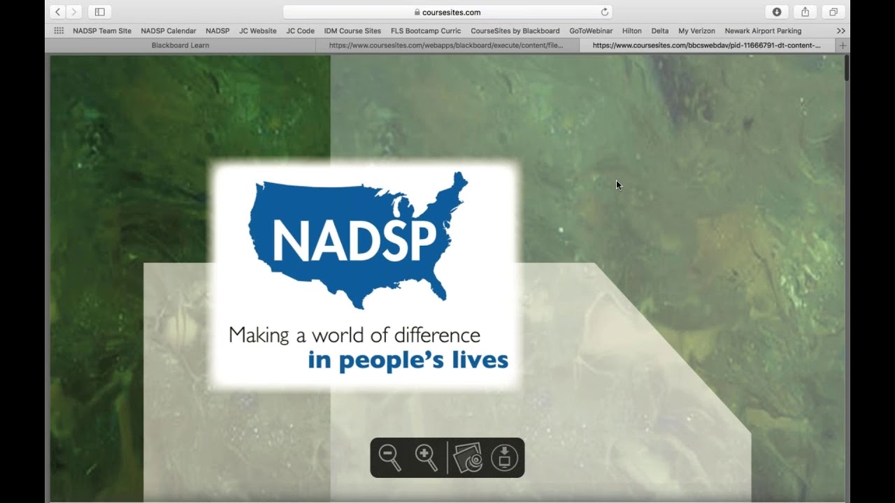 NADSP FLS Curriculum Preview - YouTube