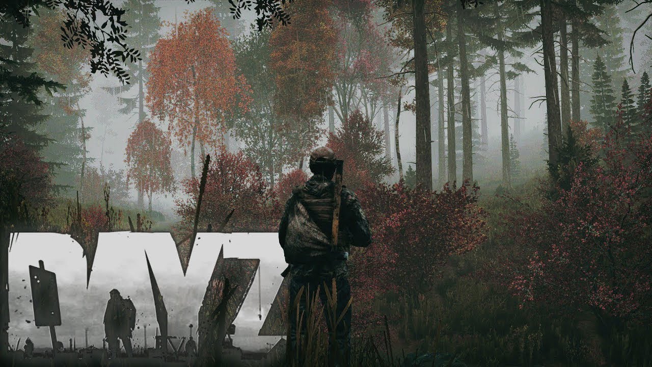 ВЫЖИВАНИЕ на ПВП СЕРВЕРЕ! DayZ REARMED! Дейз стрим! #dayz - YouTube