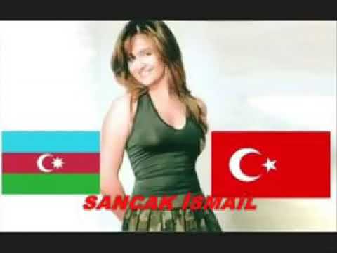 Türkün Türkten başka dostu yoktur