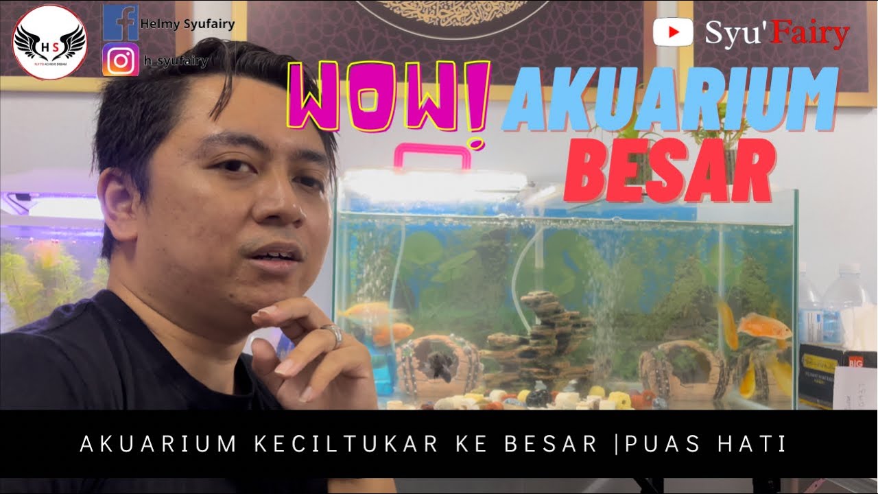 Akuarium Besar ikan kita tambah ..!! | Macam dalam laut View 😊 - YouTube