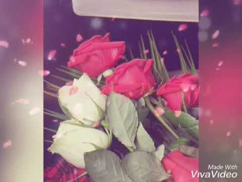 Esil sevgi nedir onda his etdim sevdiymi itrende