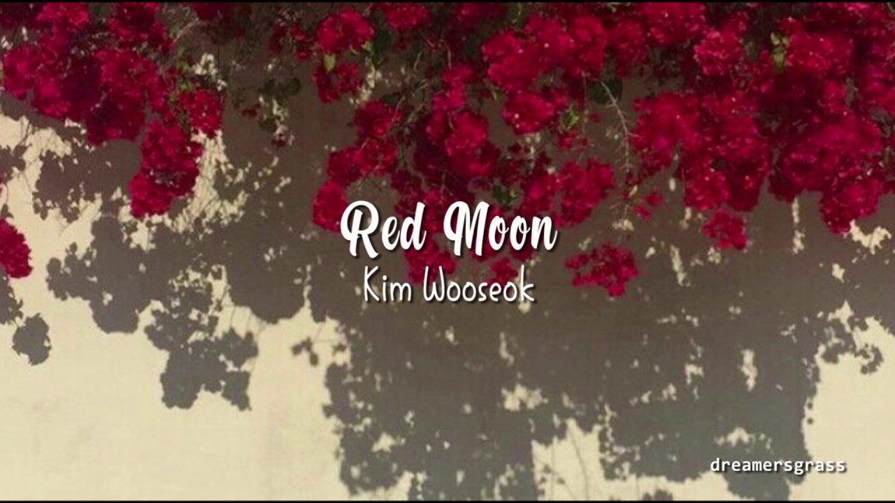 KIM WOO SEOK - Red Moon Indo Lyrics - YouTube