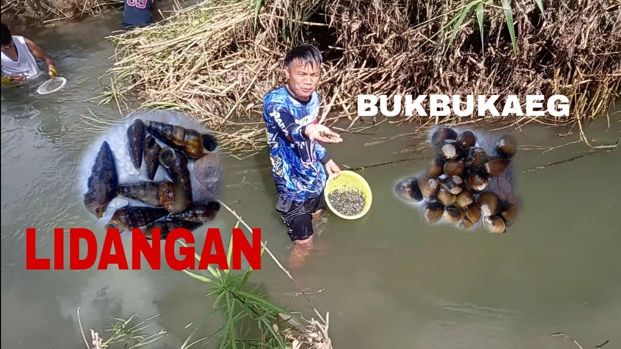 PANGANGAPA NG BUKBUKAEG AT LIDANGAN - YouTube