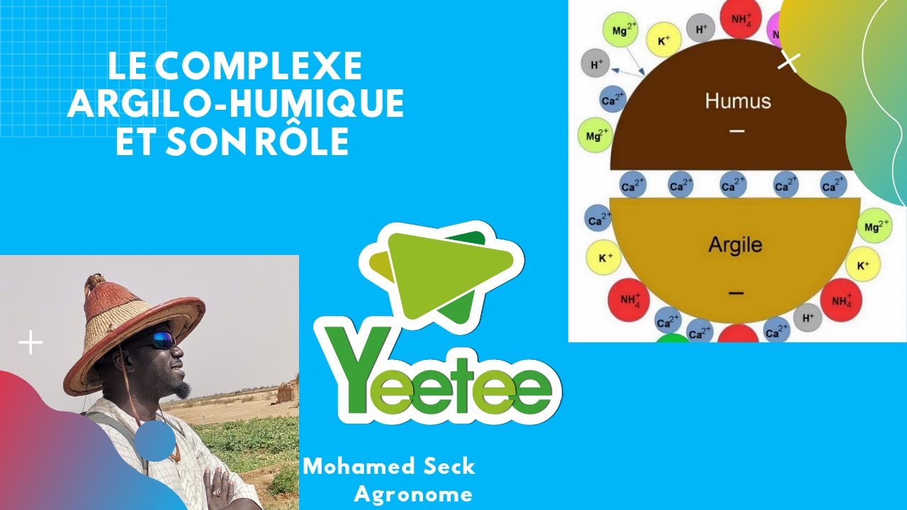 YEETEE Le complexe argilo humique - YouTube