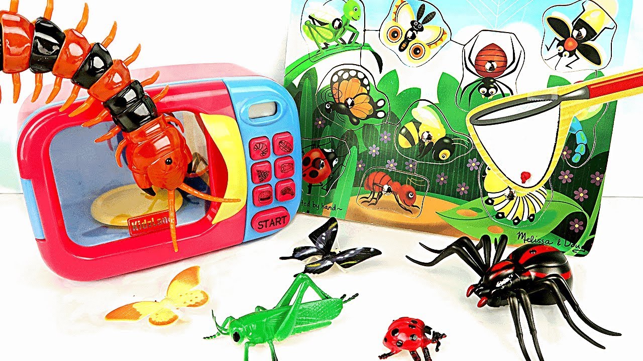 Learn Insects and Bugs With Wooden Puzzle/Animal Toys Real Life /Just ...