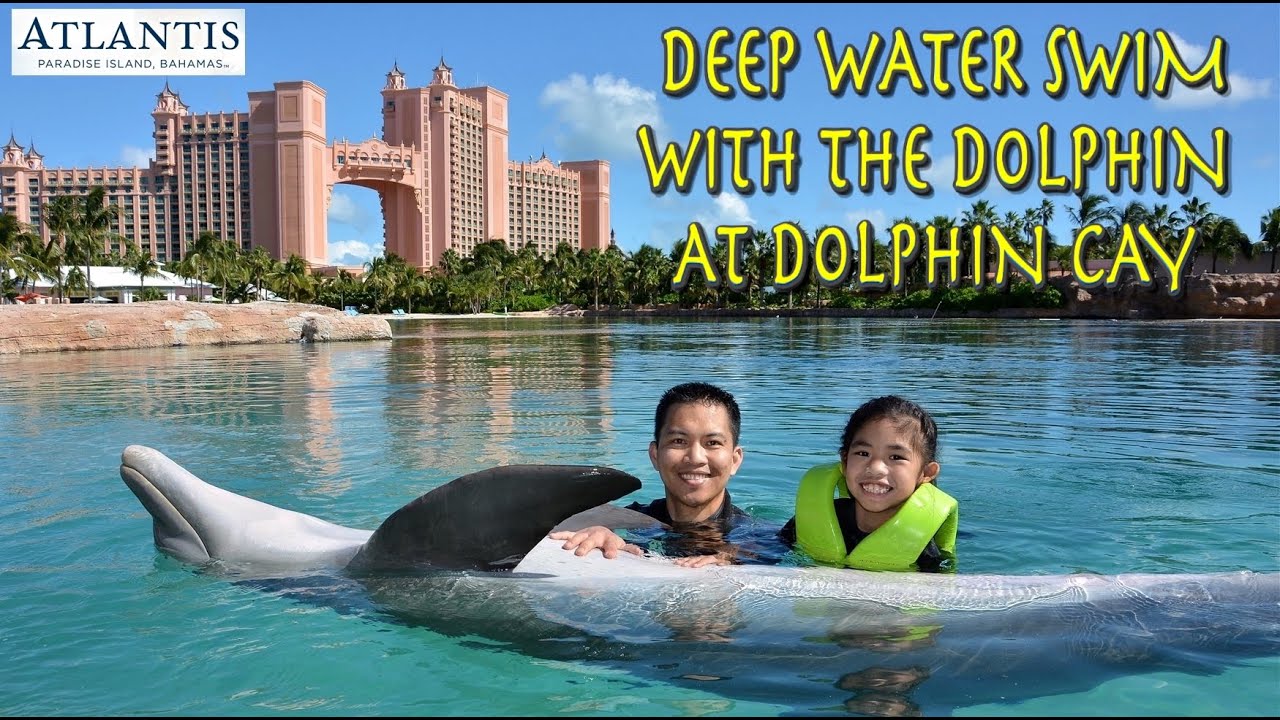 [4K] DEEP WATER SWIM WITH THE DOLPHIN AT DOLPHIN CAY ATLANTIS PARADISE ...