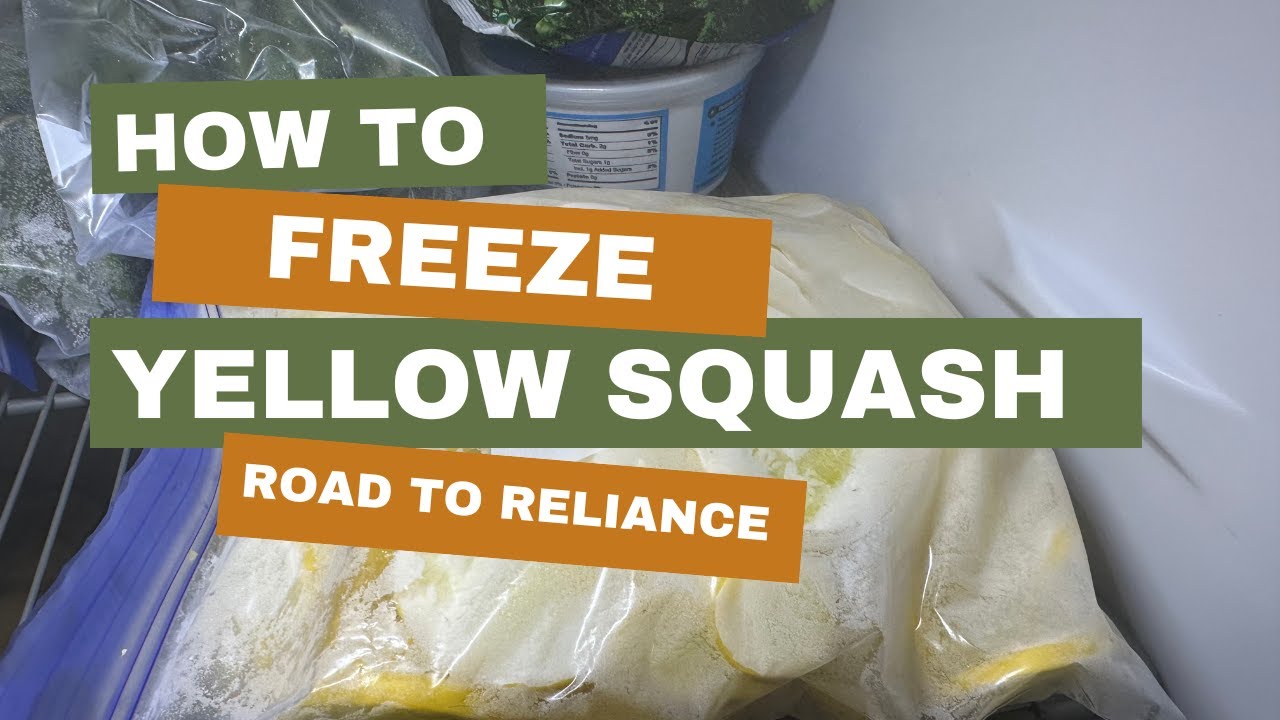 How To Freeze Squash Easily - YouTube