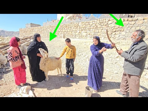 Grandma's attempt to take Grandpa's ewe to sell and fix her teeth, amidst Ruqayya's mediation