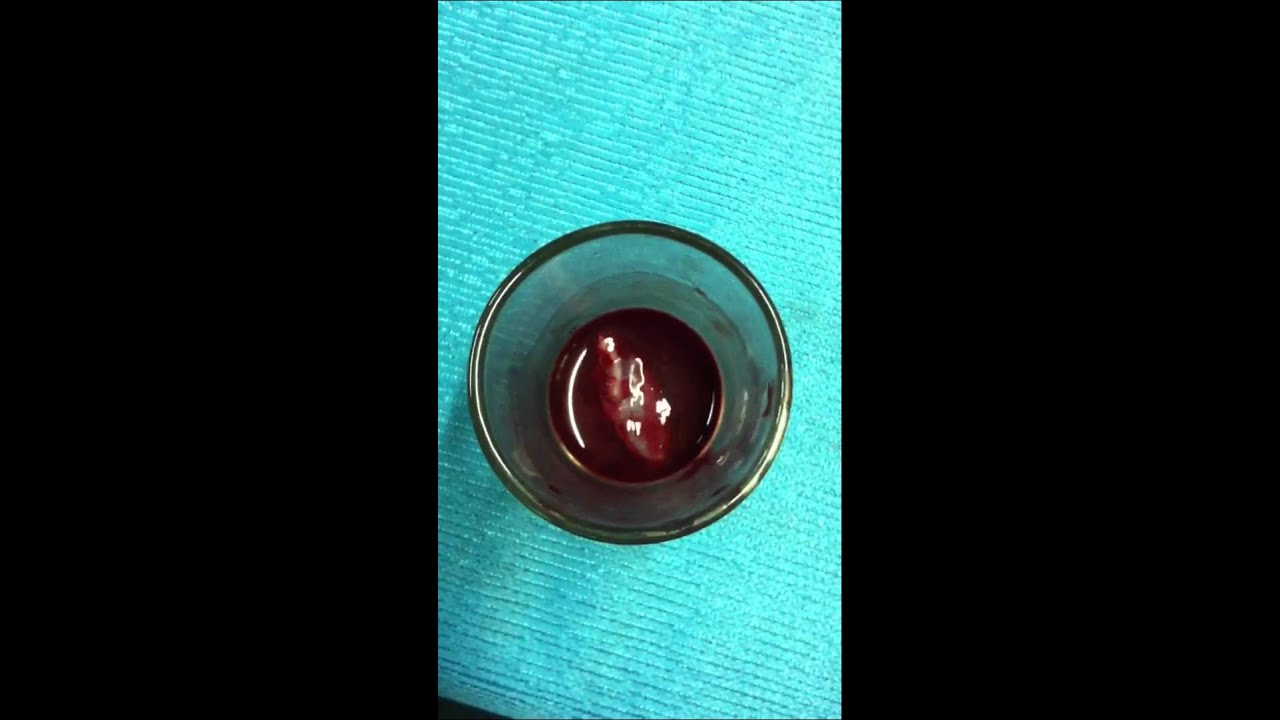 Snake heart - YouTube