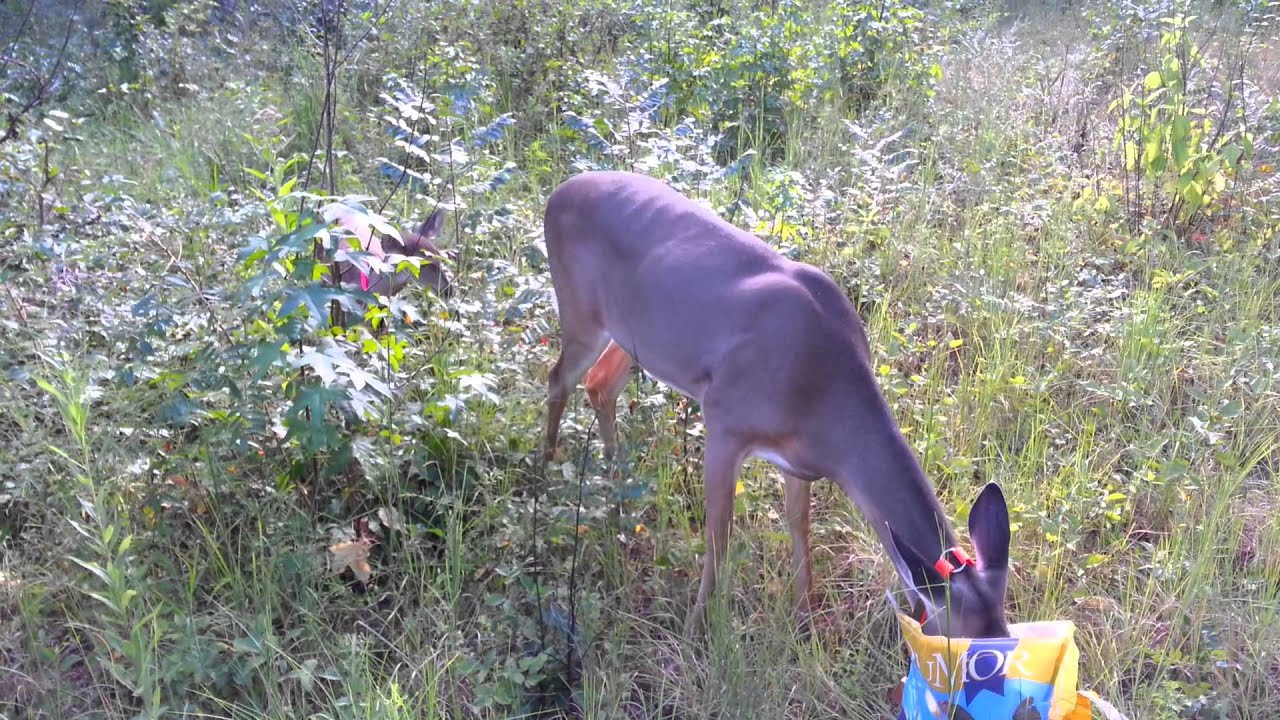 John Deer meets Jane Doe - YouTube