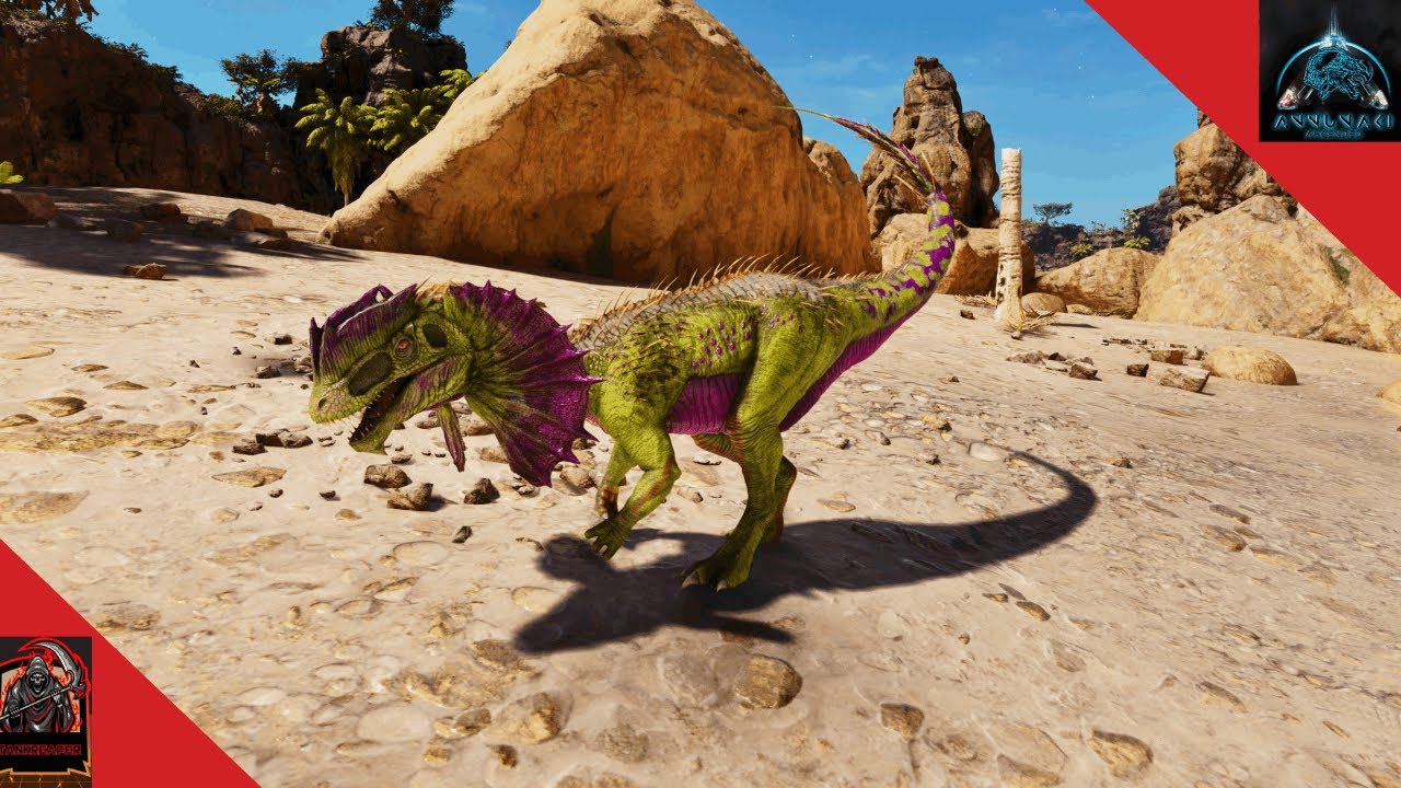 I just got a Dilo that I can ride and to other Dinos / ARK ASA Annunaki ...