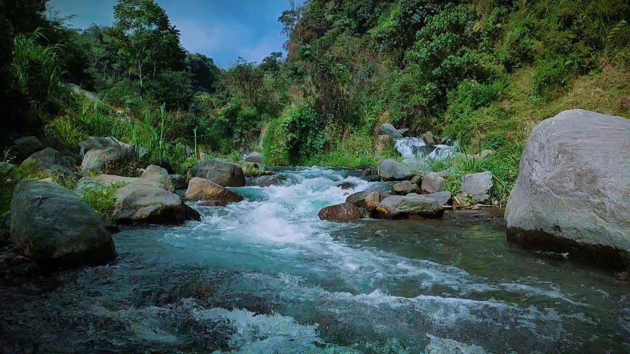Calming River and Nature Sounds for Peaceful Sleep Study and Total ...