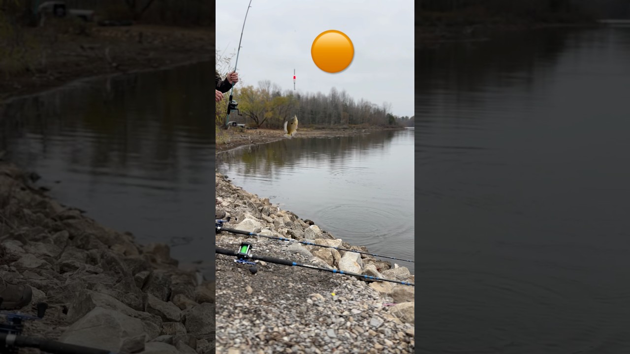 The Ultimate Guide to Fishing Techniques for Every Species - Fishing