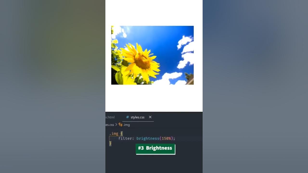 CSS Filters | CSS Filter Property | CSS Image Filter | #csseffect # ...