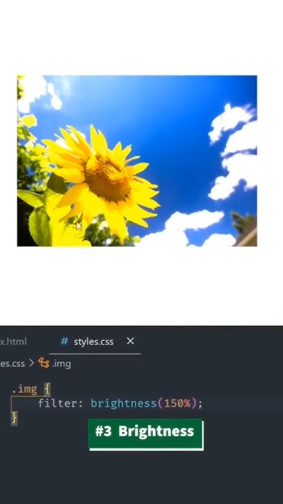 Css Filters Css Filter Property Css Image Filter Csseffect Filters Shorts