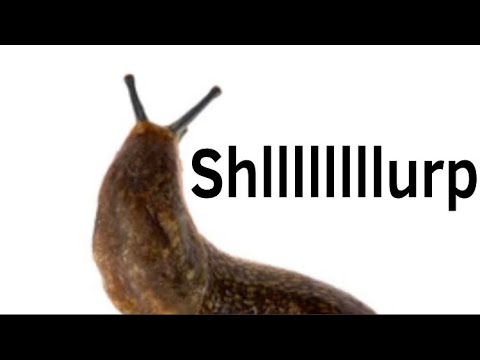 What If There Was A Poison Regi - YouTube