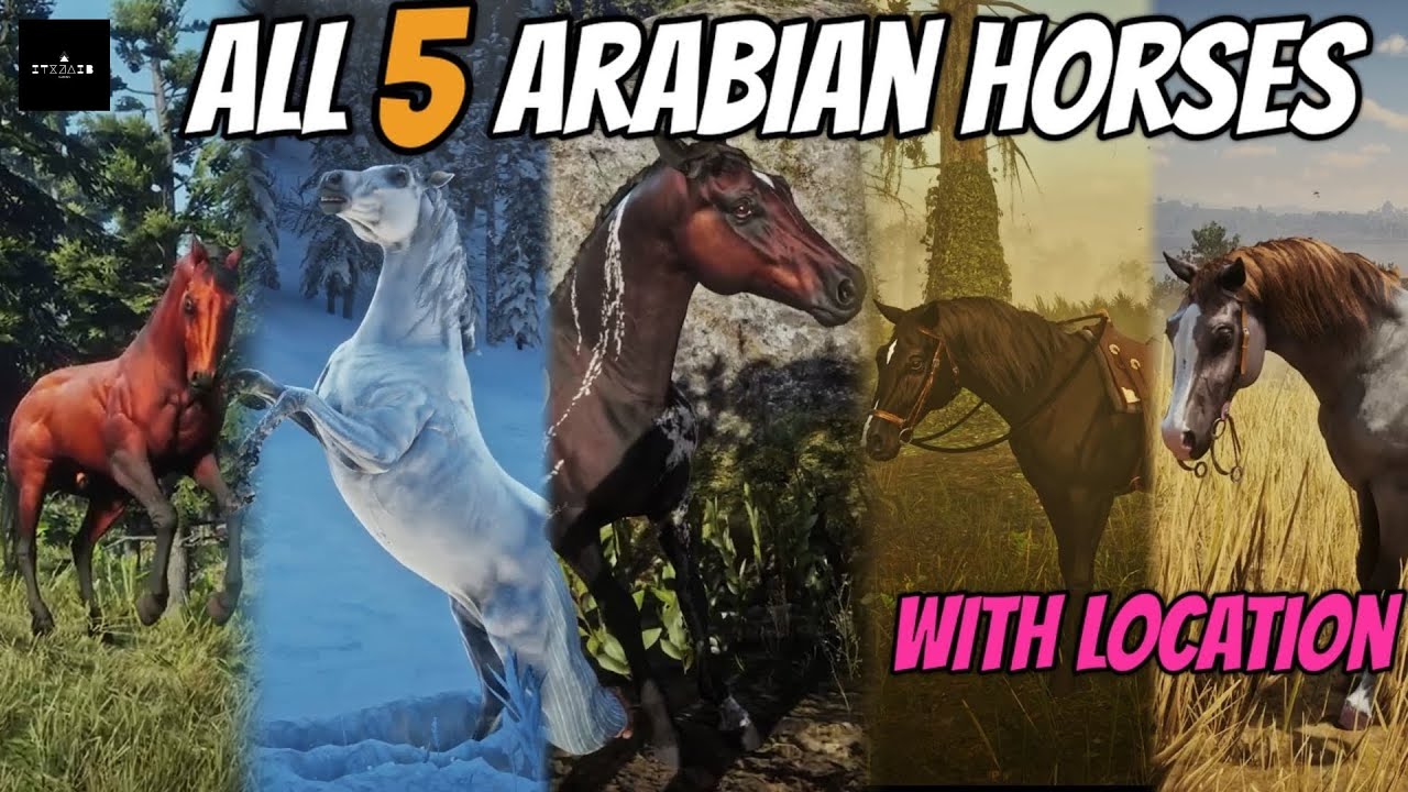 All 5 Arabian fastest horses location | Red Dead Redemption 2 | #red # ...