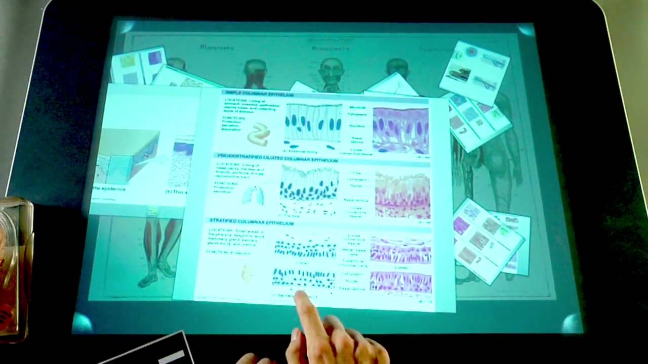 Anatomy Application for the Microsoft Surface - YouTube