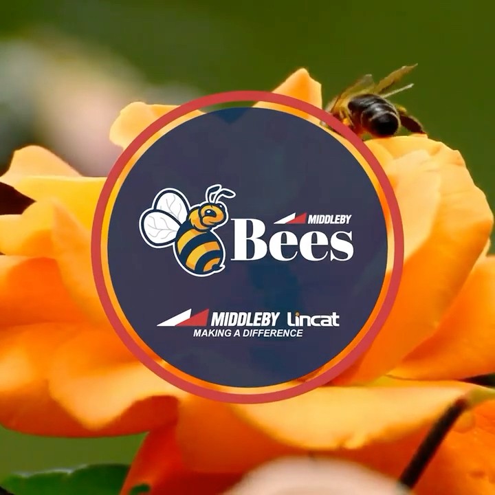 Middleby & Lincat Make a Difference at Halwin School – In Partnership ...