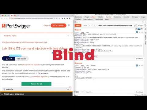 32 Blind Command Injection Demystified: A Deep Dive into Vulnerability Discovery - YouTube
