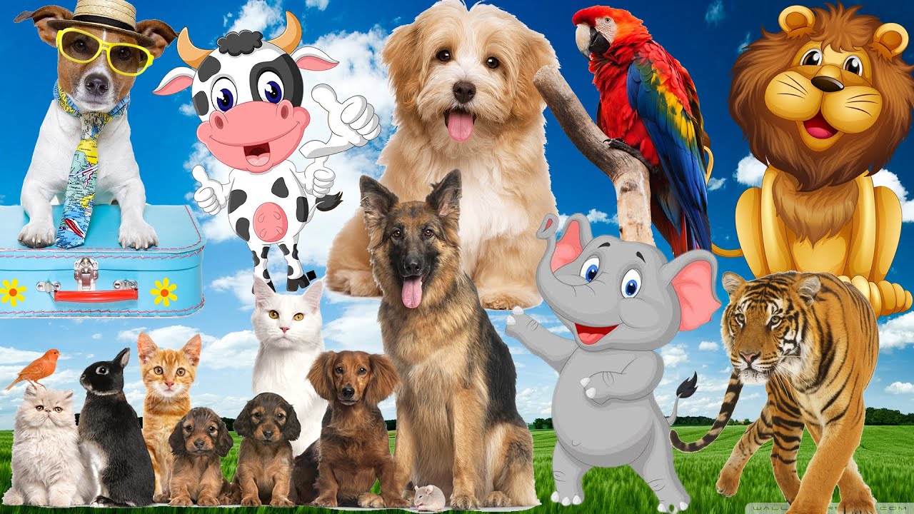 Lovely farm of all kinds of animals with cows, chickens, pigs ...