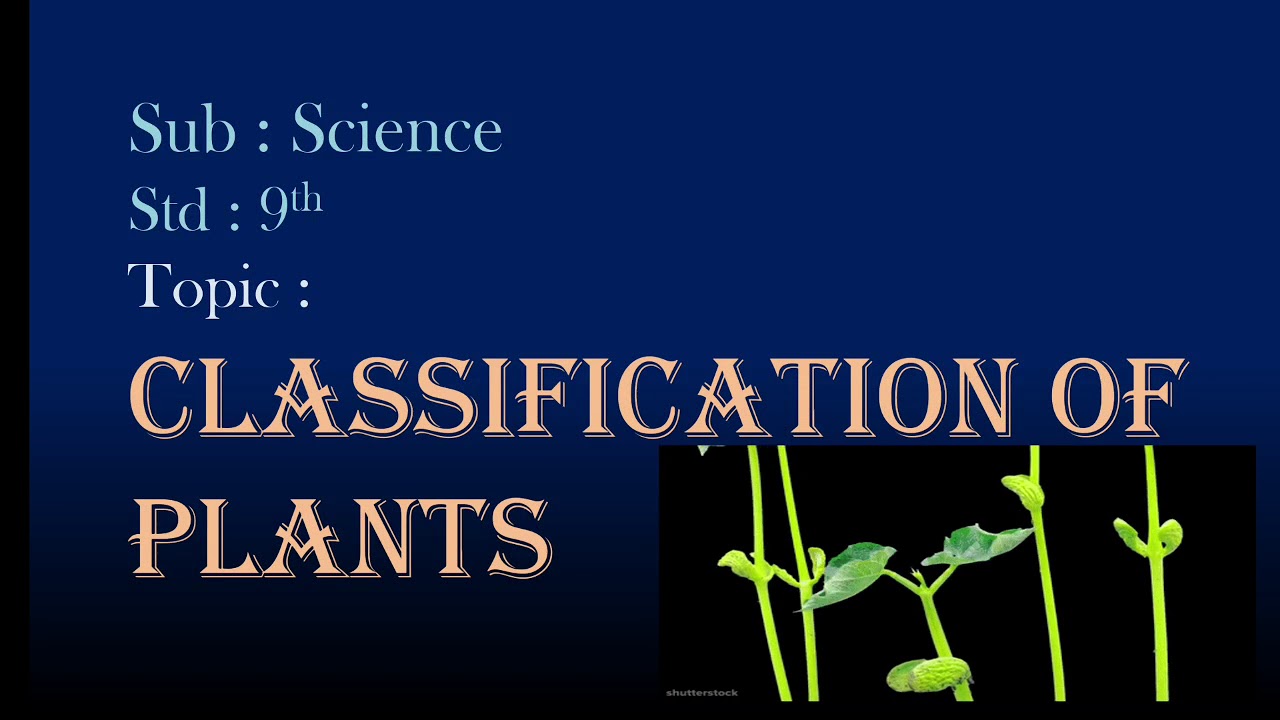 Classification of plants,subkingdom:cryptogams,std:9th,by Reshma Barge ...