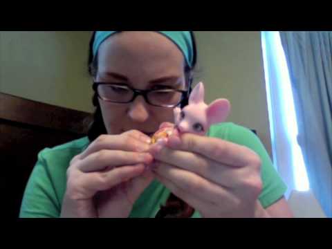 Pipos Mini Cheese Mouse Box Opening - YouTube