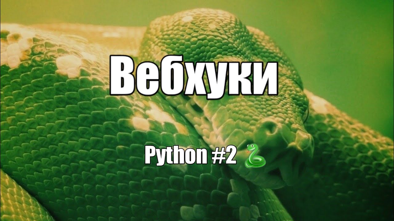 Webhook | Python #2 🐍 - YouTube
