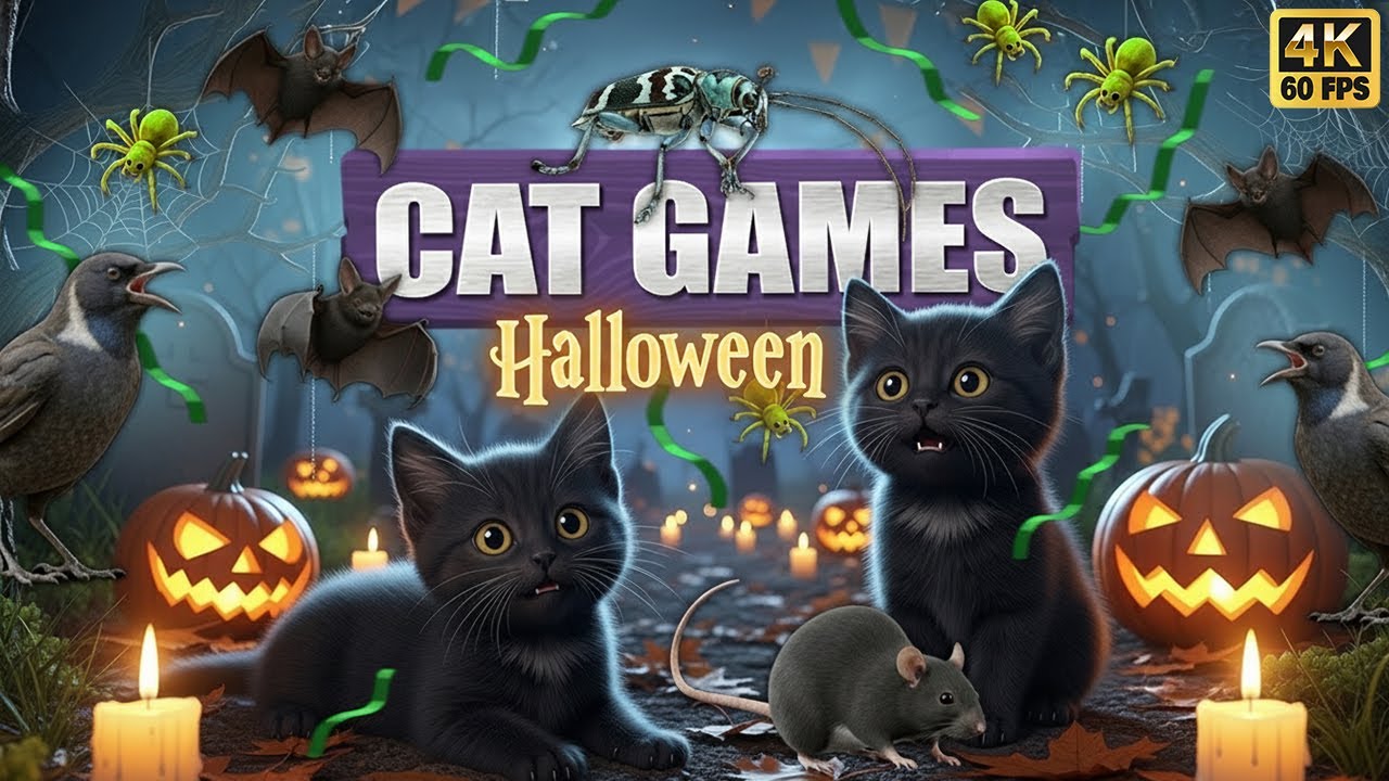 CAT GAMES 🐾3D Game for Cats | Video for Cats – Ultimate CAT TV #76😻 ...