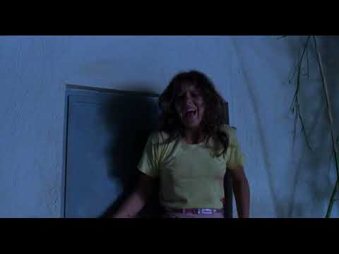 DOBERMAN  ∆  Tenebre  1982