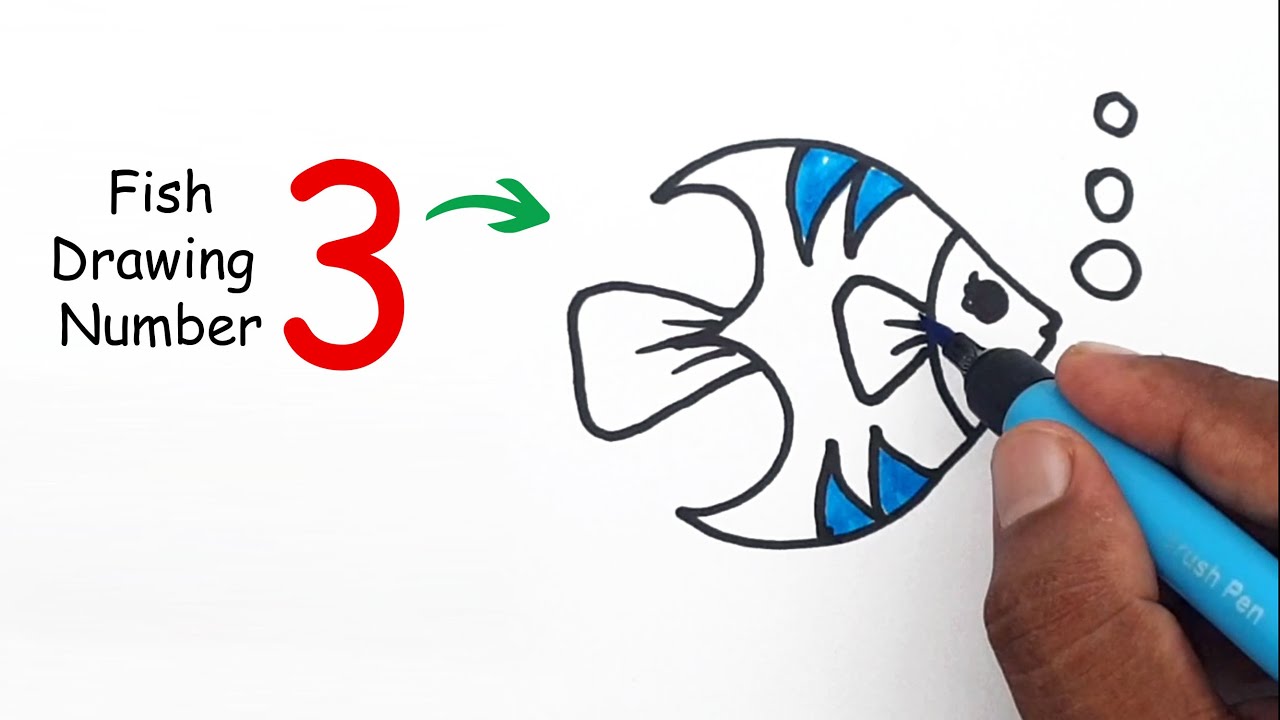 Beautiful Fish Drawing number '3' | Easy Fish Drawing - YouTube
