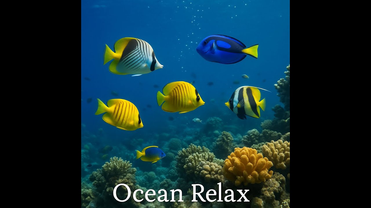 Ocean Relaxation "No Ads 4K" | Underwater Scenes with Fish & Calming ...