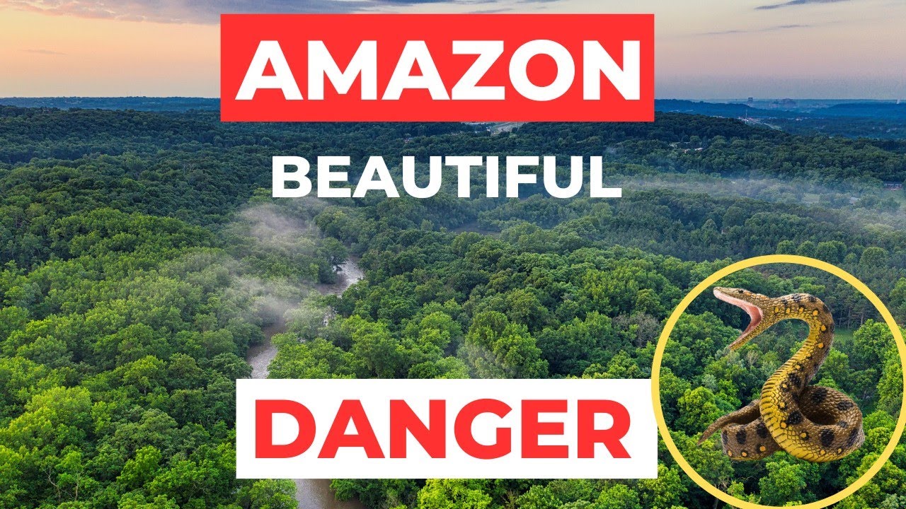 Amazon Forest | World's Biggest Forest | Real Facts Of Amazon ...