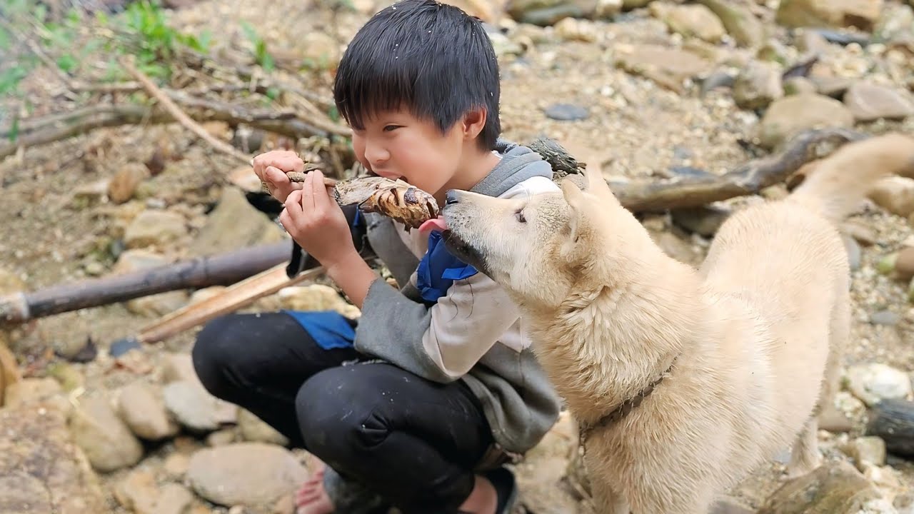 The orphan boy and the dog go fishing to grill and eat. - YouTube