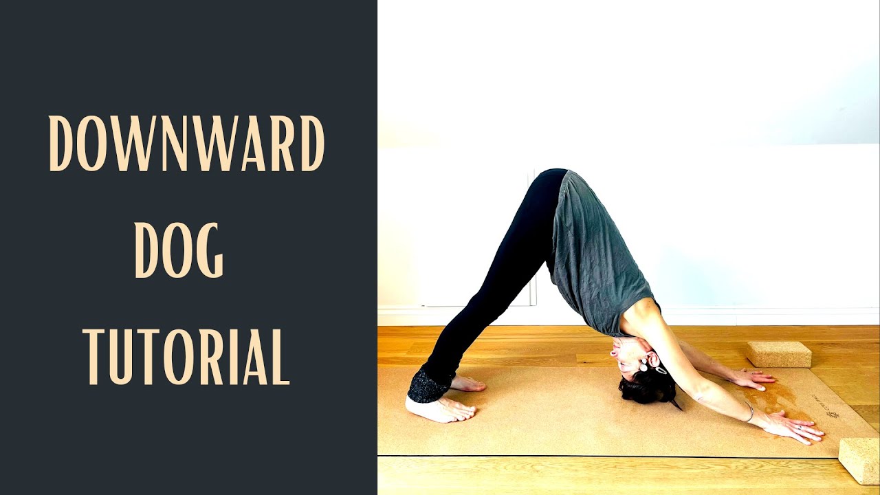 Downward Dog Tutorial #downwardfacingdog #downwarddog #yogatutorial ...