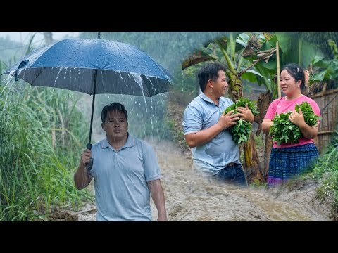 Mila Was Surprised When Viet Came in the Rain to Help Harvest Vegetables