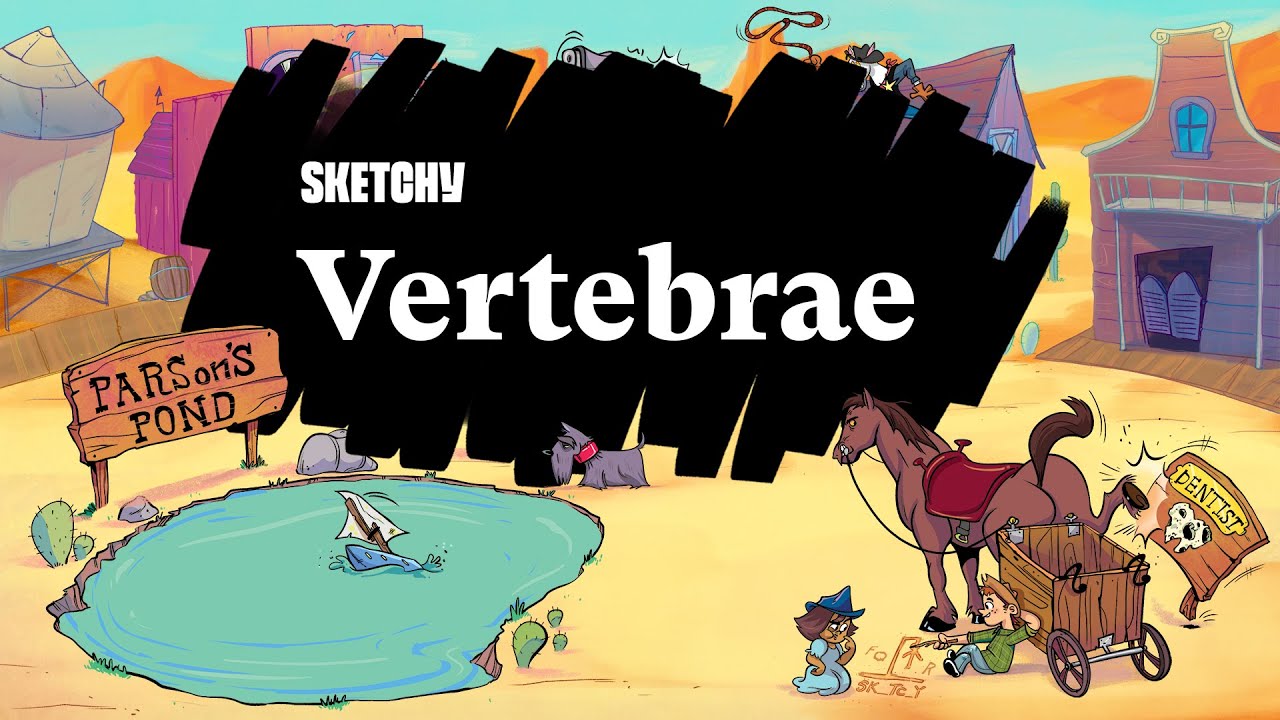 Vertebrae Anatomy & Injuries: Spondylolysis to Whiplash (Part 1 ...